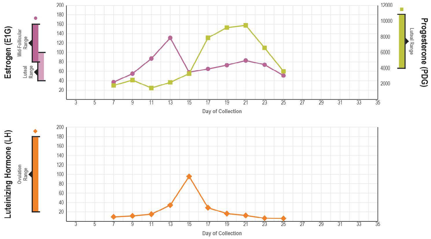 Menstrual Cycle Mapping Can Help You to Live Your Best Life